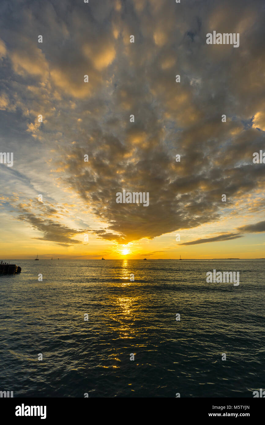 Florida landscape painting hi-res stock photography and images - Alamy