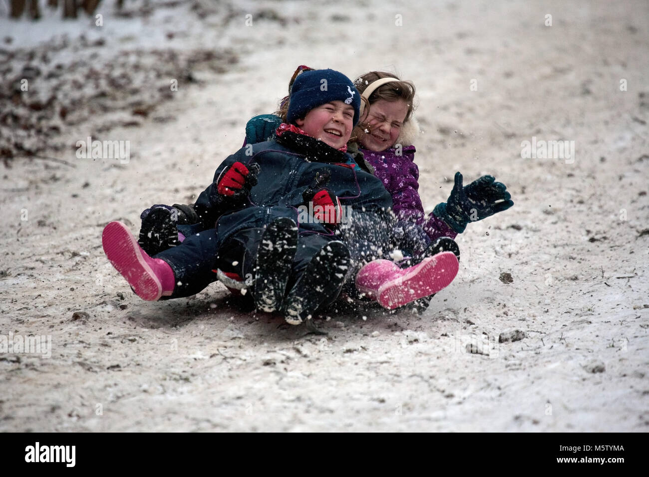 Children sledging in the snow, Linslade, Bedfordshire, UK Stock Photo ...