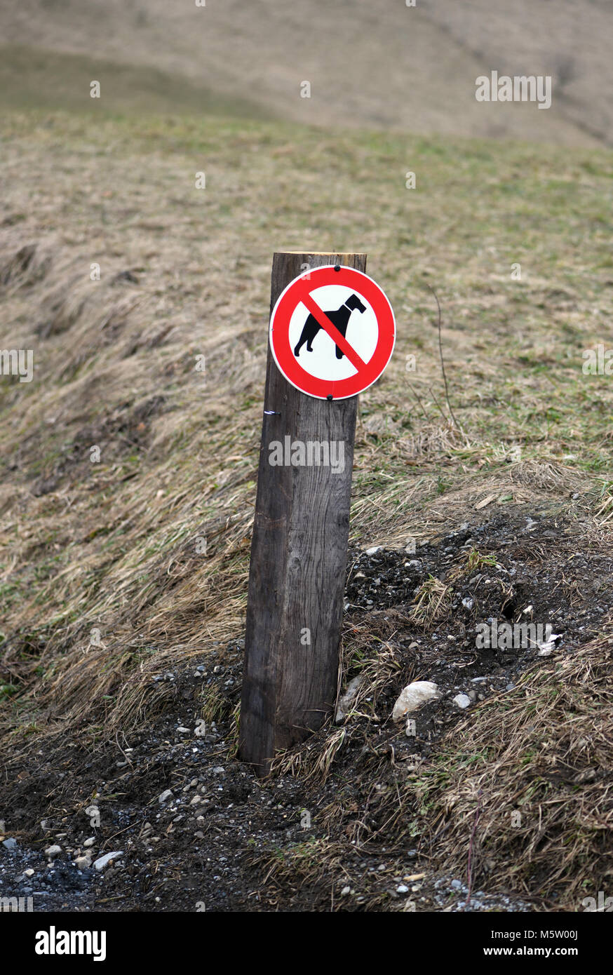 A sign with a pictogram showing no dogs beside a track. Samoens, Haute ...