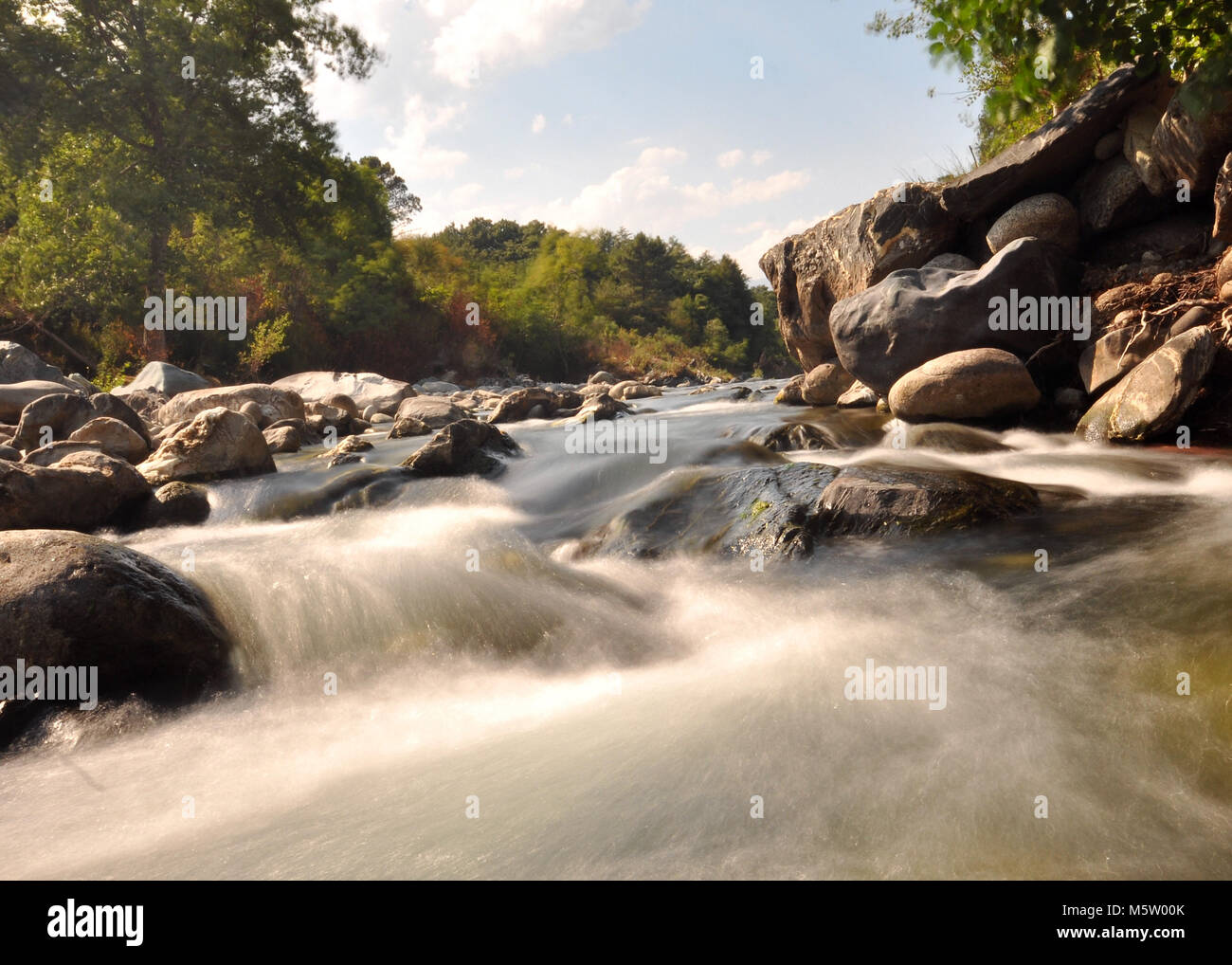 Fast flowing river rocks trees hi-res stock photography and images - Alamy