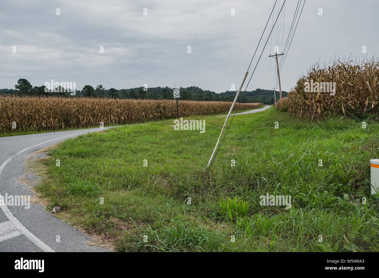Crop markings hi-res stock photography and images - Alamy