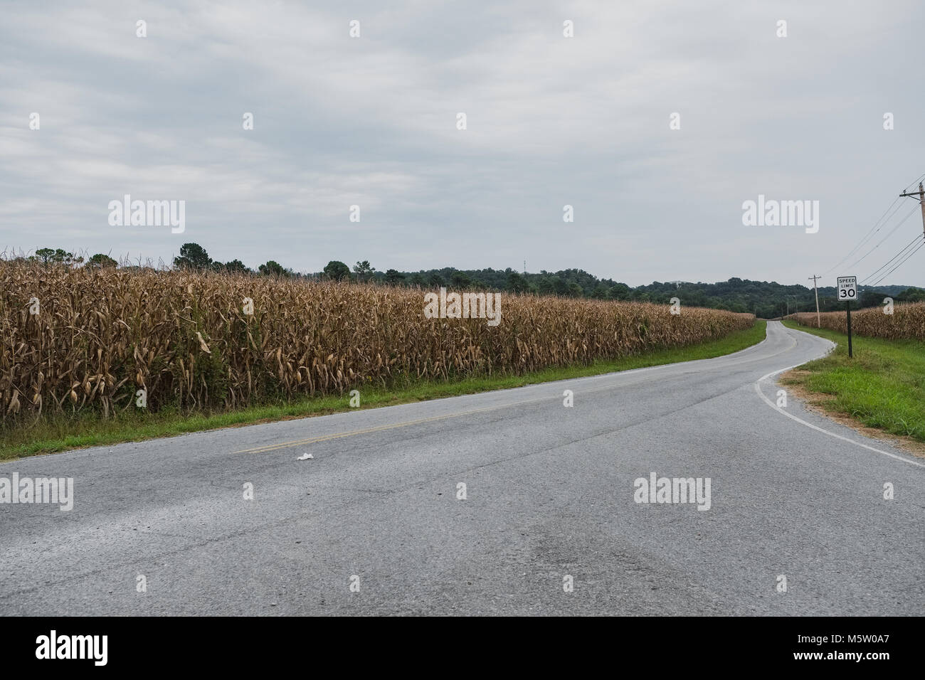 Driving through rural roads, Tennessee, North America Stock Photo - Alamy