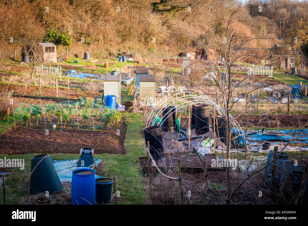 Allotments wales hi-res stock photography and images - Alamy