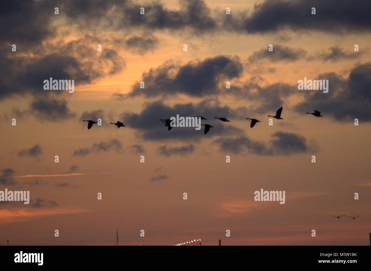 Taken in Pickering Beach while the sun was rising Stock Photo - Alamy