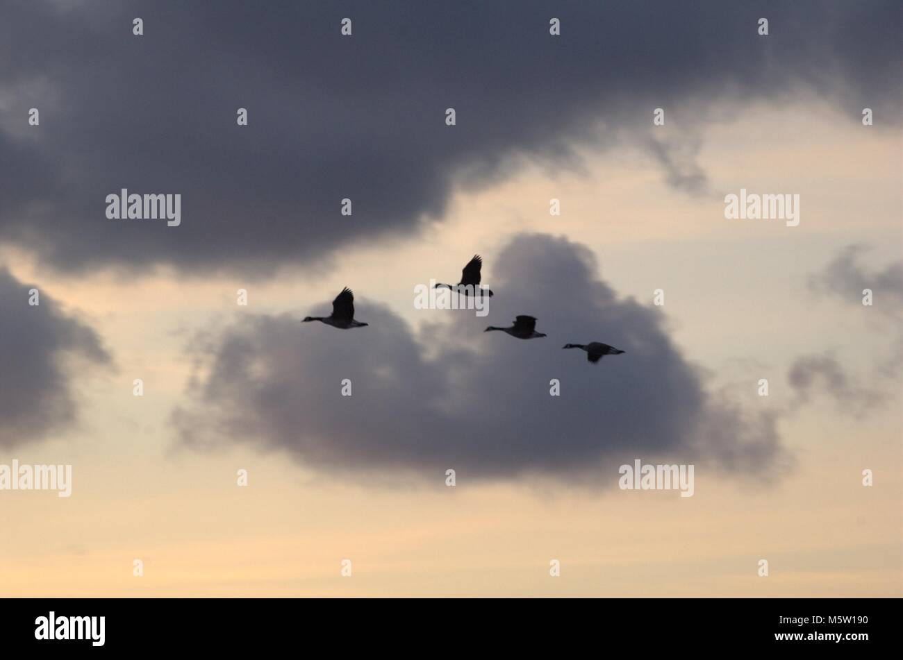 Pickering beach hi-res stock photography and images - Alamy