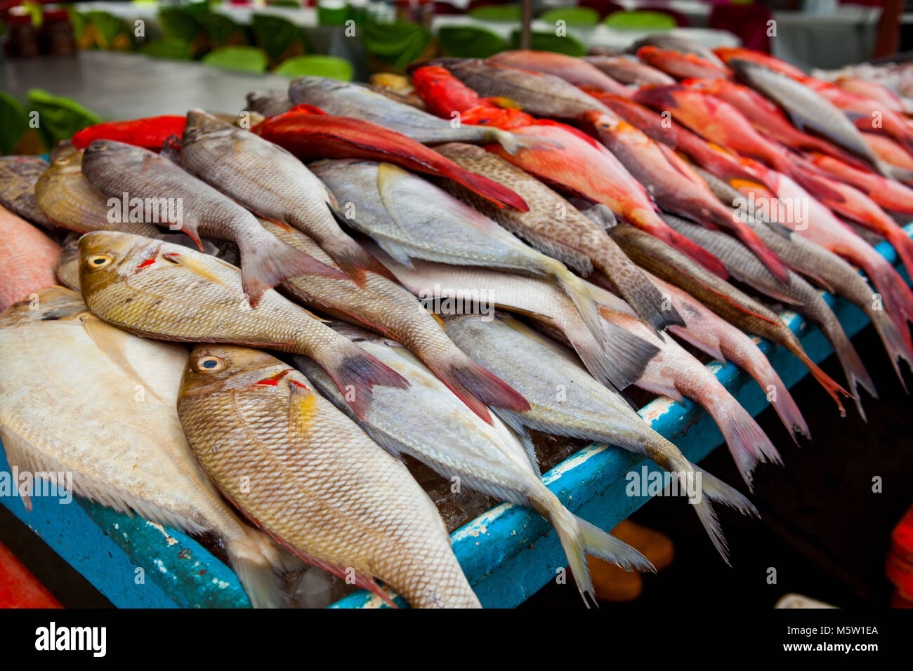 Fresh Fish on the Fish Market in Borneo (Malaysia Stock Photo - Alamy