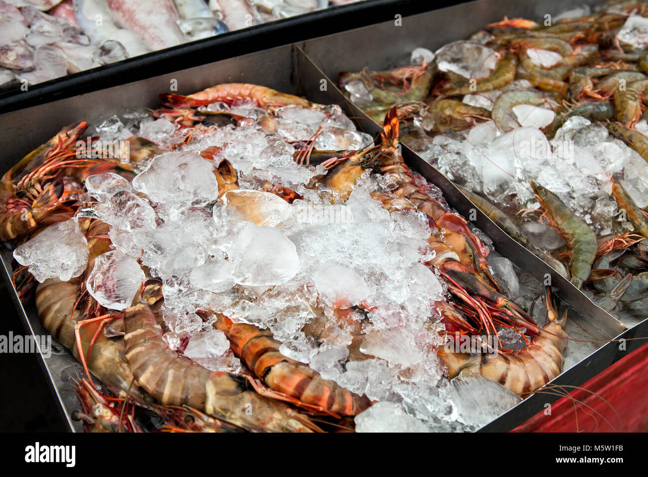 Fresh Crayfish on the Fish Market in Borneo (Malaysia Stock Photo - Alamy