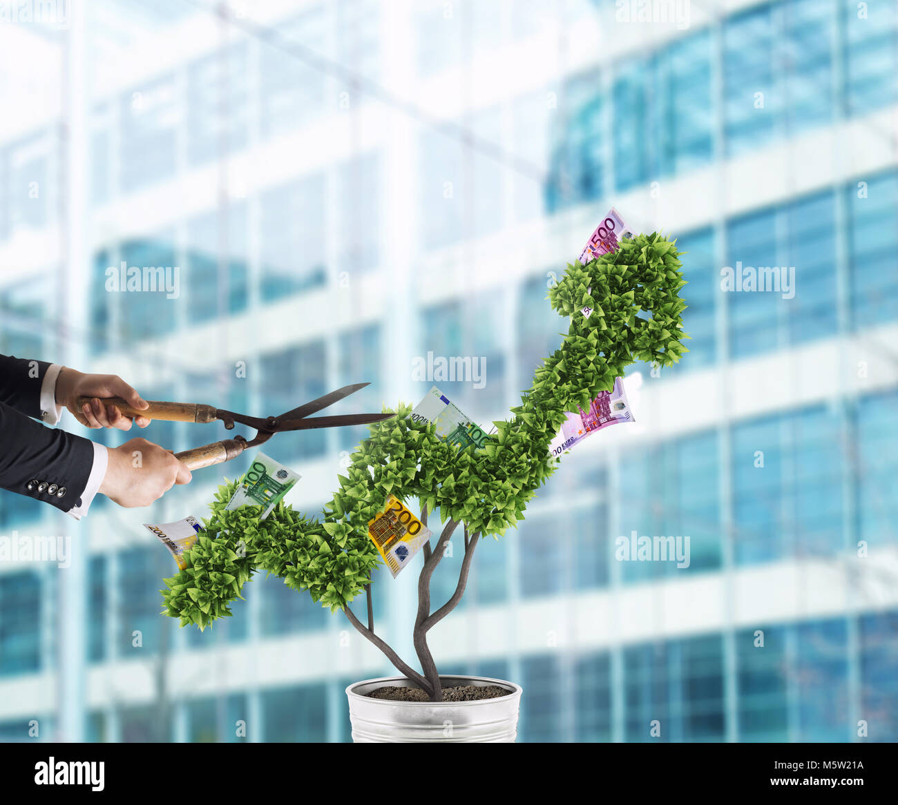 Money tree hi-res stock photography and images - Alamy
