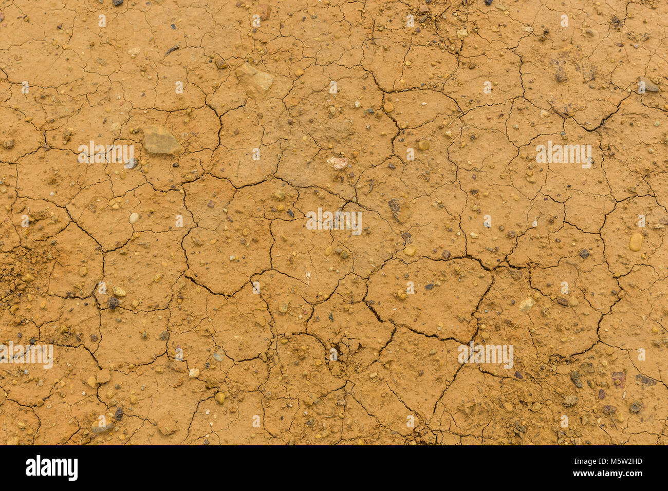 Parched land during the drought in the Upper Hunter Valley, NSW ...