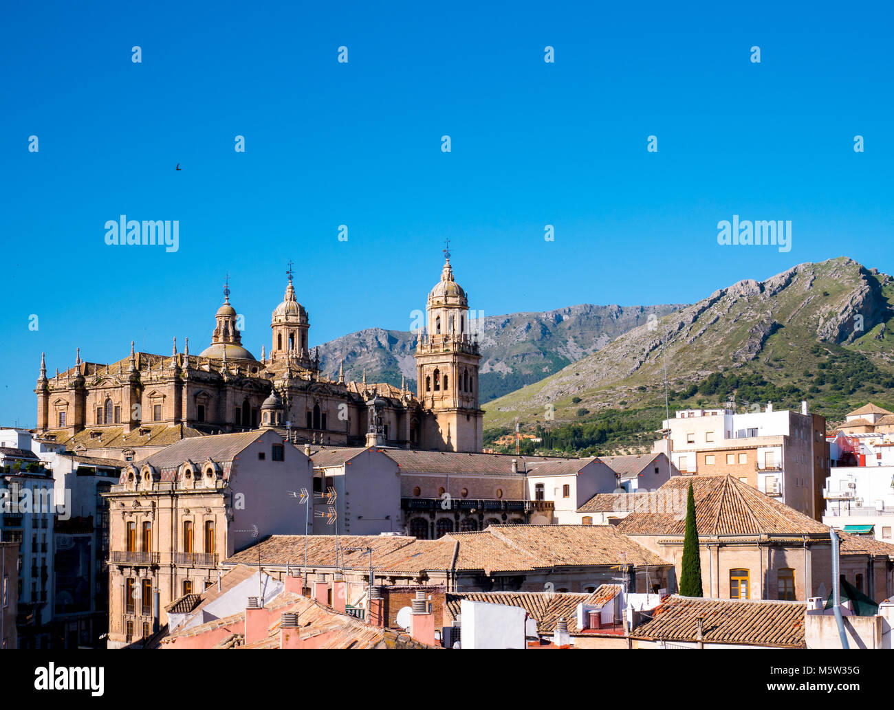 Catedral de la Asunción de la Virgen de estilo renacentista. Jaén ...