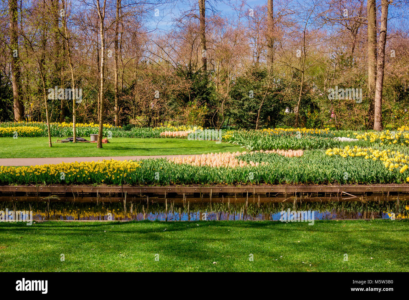 Beautiful garden. Park in The Spring. Spring landscape Stock Photo - Alamy