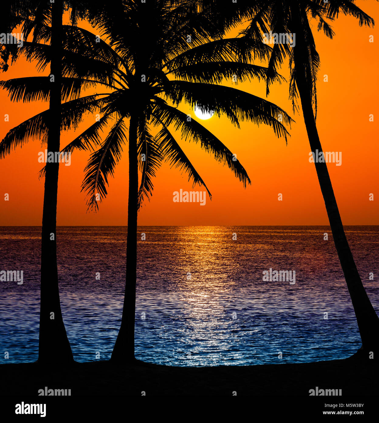 sunset landscape. beach sunset. sunset on the beach Stock Photo - Alamy