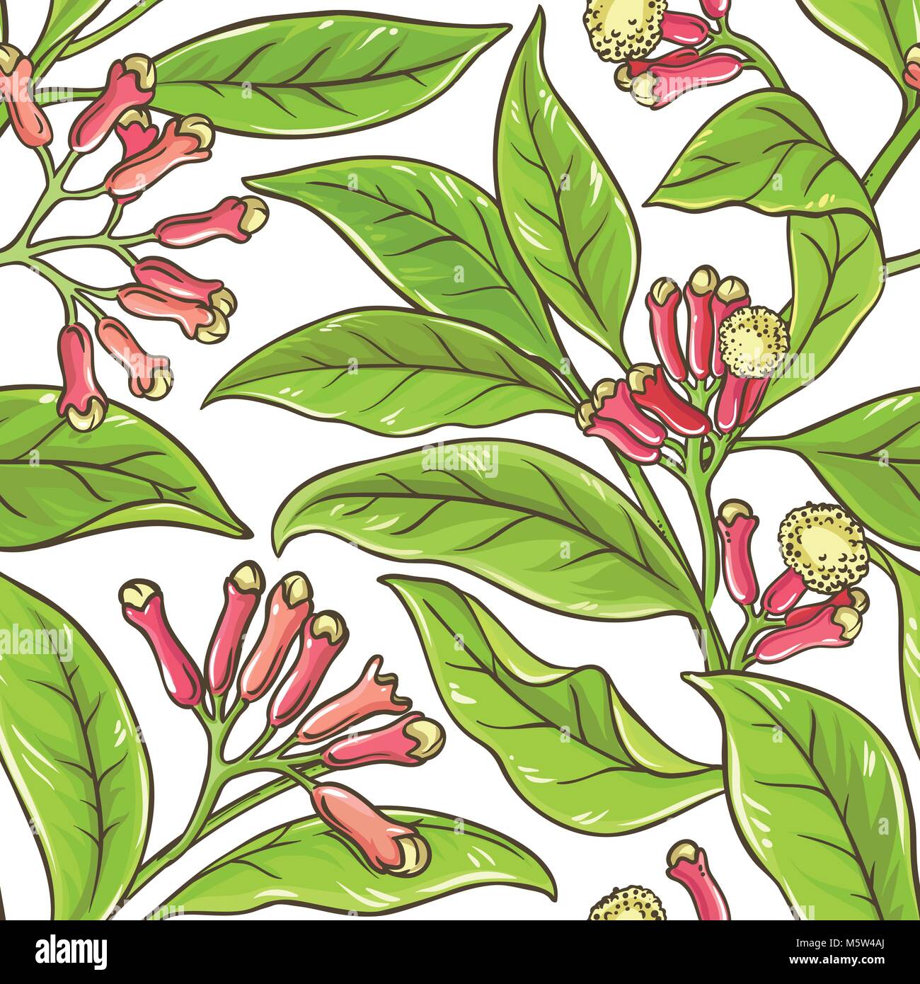 clove branch vector pattern on white background Stock Vector Image ...