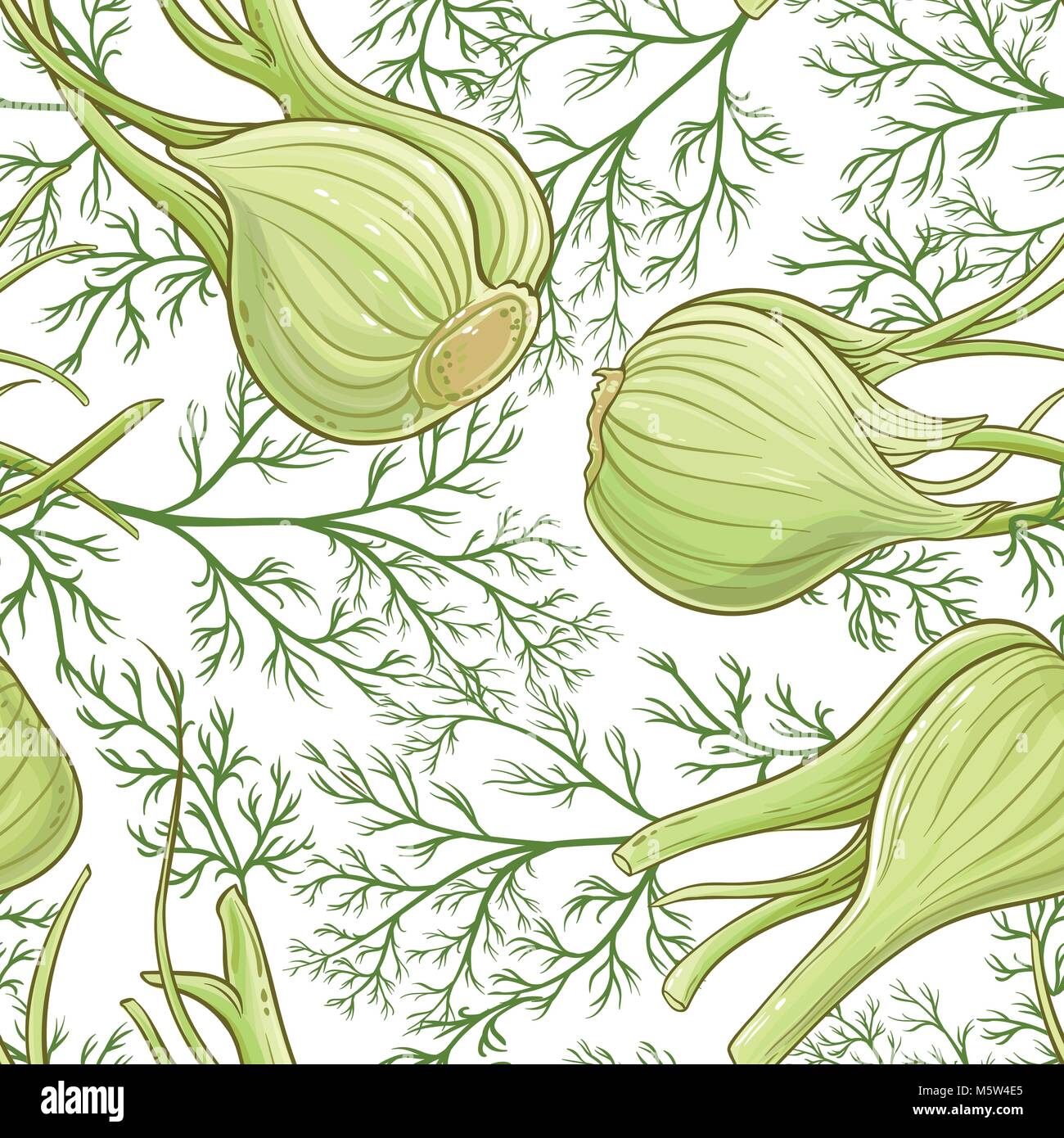 Fennel plant illustration Stock Vector Images - Alamy