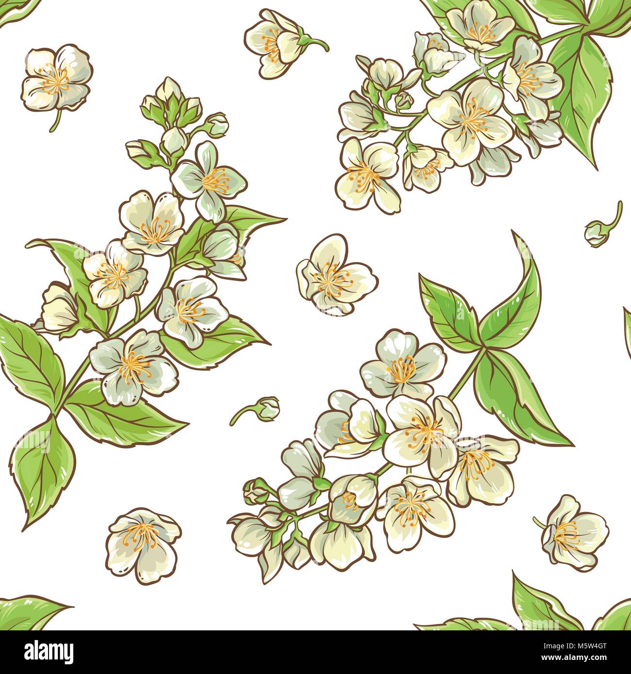 jasmine branch vector pattern on white background Stock Vector Image ...