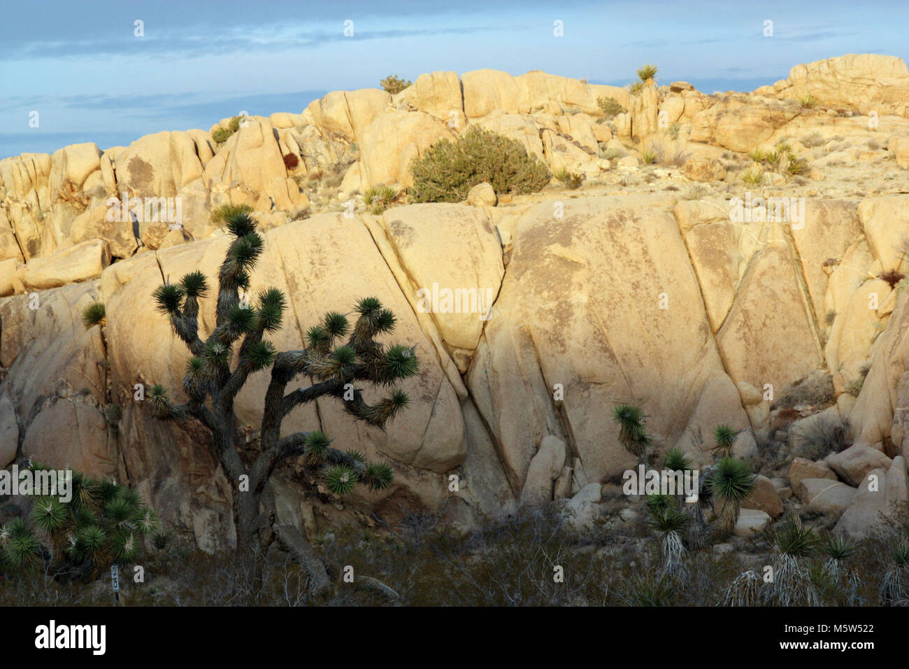 Split Rock Loop Trail Stock Photo - Alamy