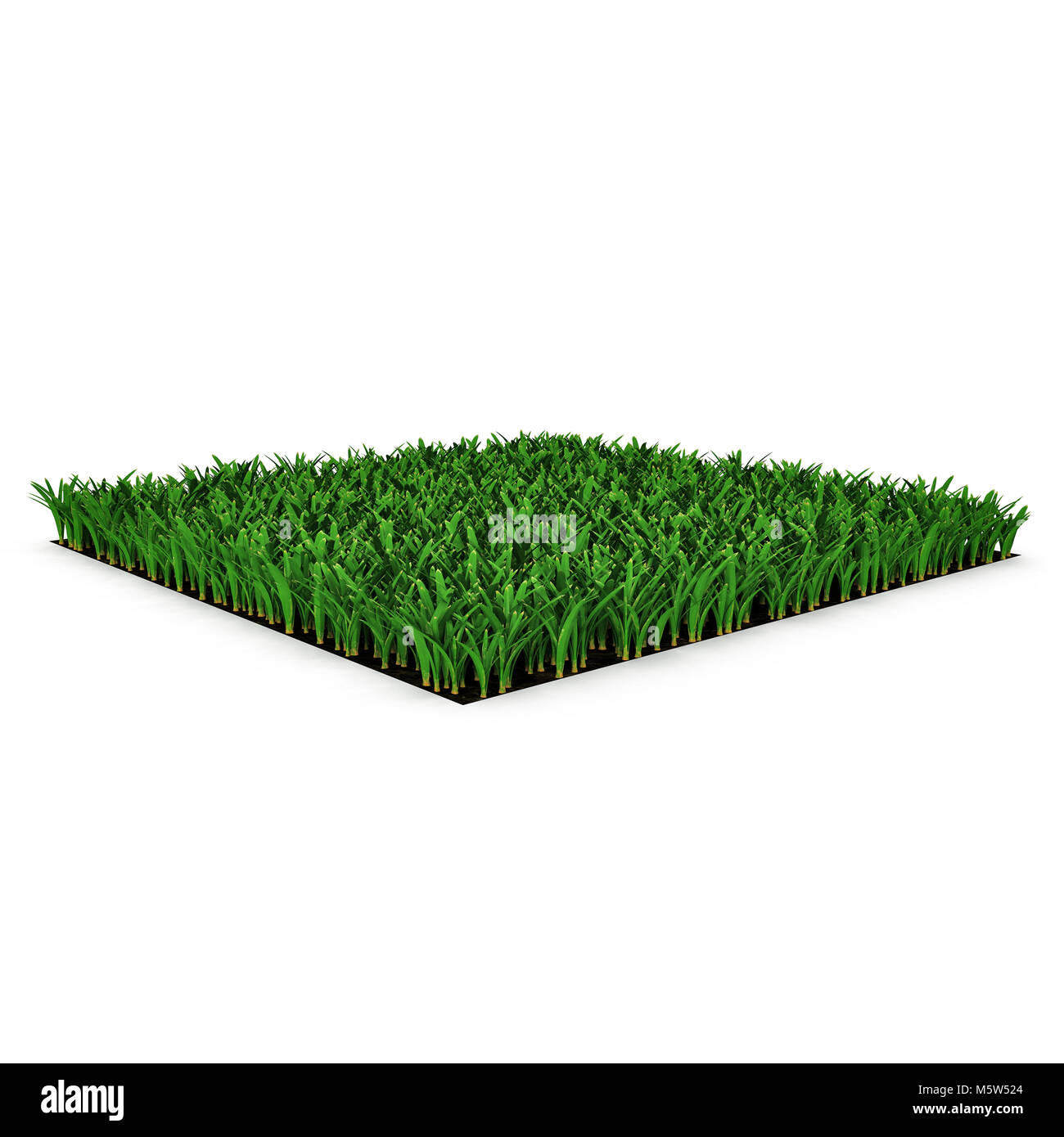 Square turf on white hi-res stock photography and images - Alamy