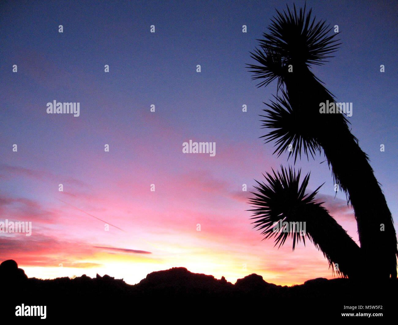 Sunset at Jumbo Rocks Stock Photo - Alamy