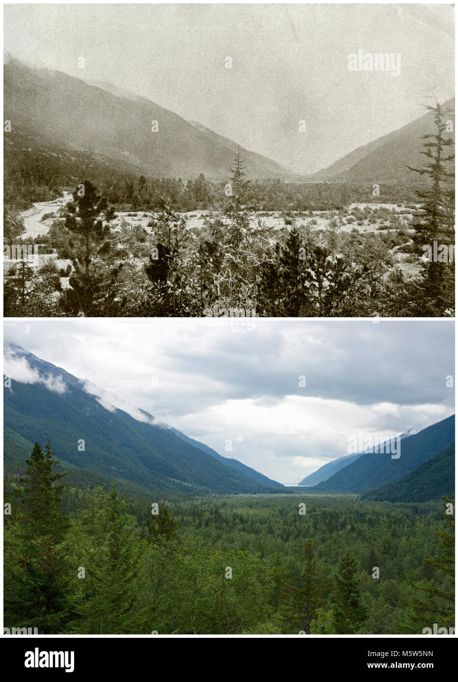 Taiya River Valley . Photo pair shows re-vegetation of Taiya River bed ...