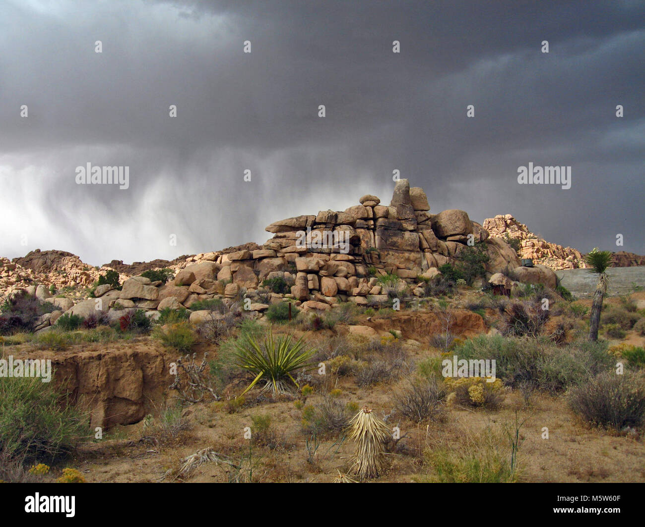Thunderstorm; Desert Queen Ranch (Keys Ranch Stock Photo - Alamy