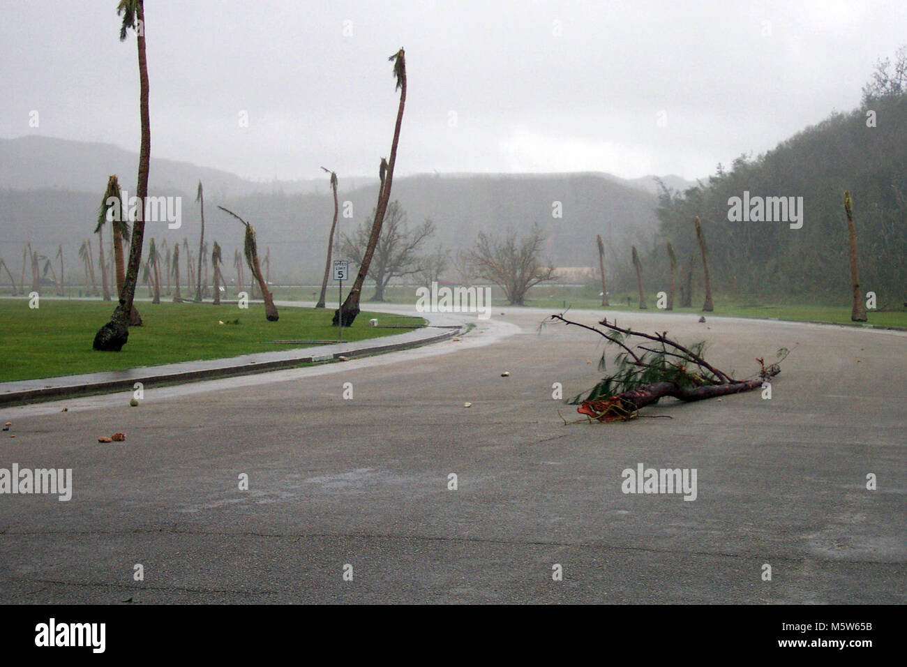 Pongsona hi-res stock photography and images - Alamy
