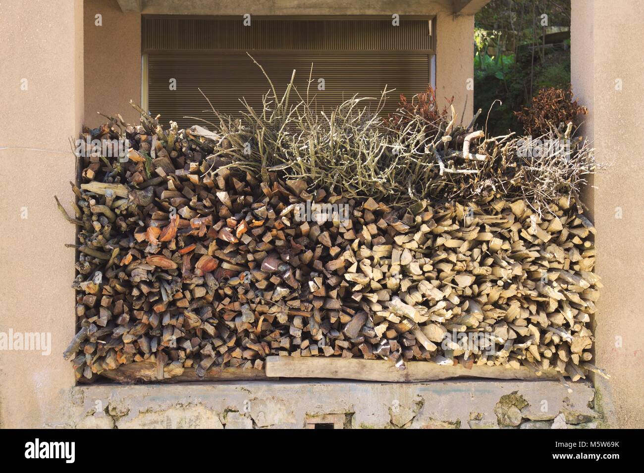 Wood branches background (Yunnan, China Stock Photo - Alamy