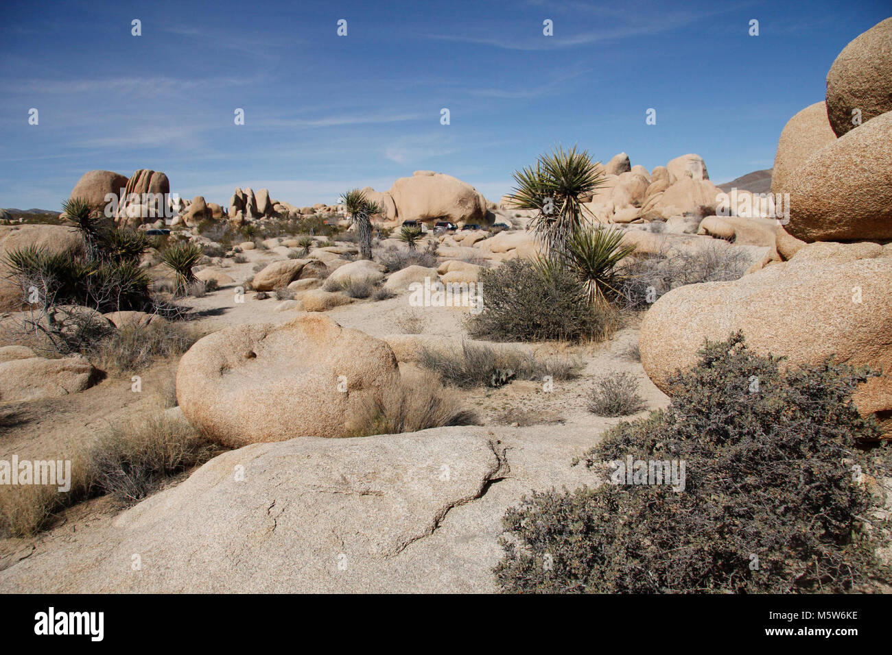 White Tank Campground . Located off Pinto Basin Road in the northern ...