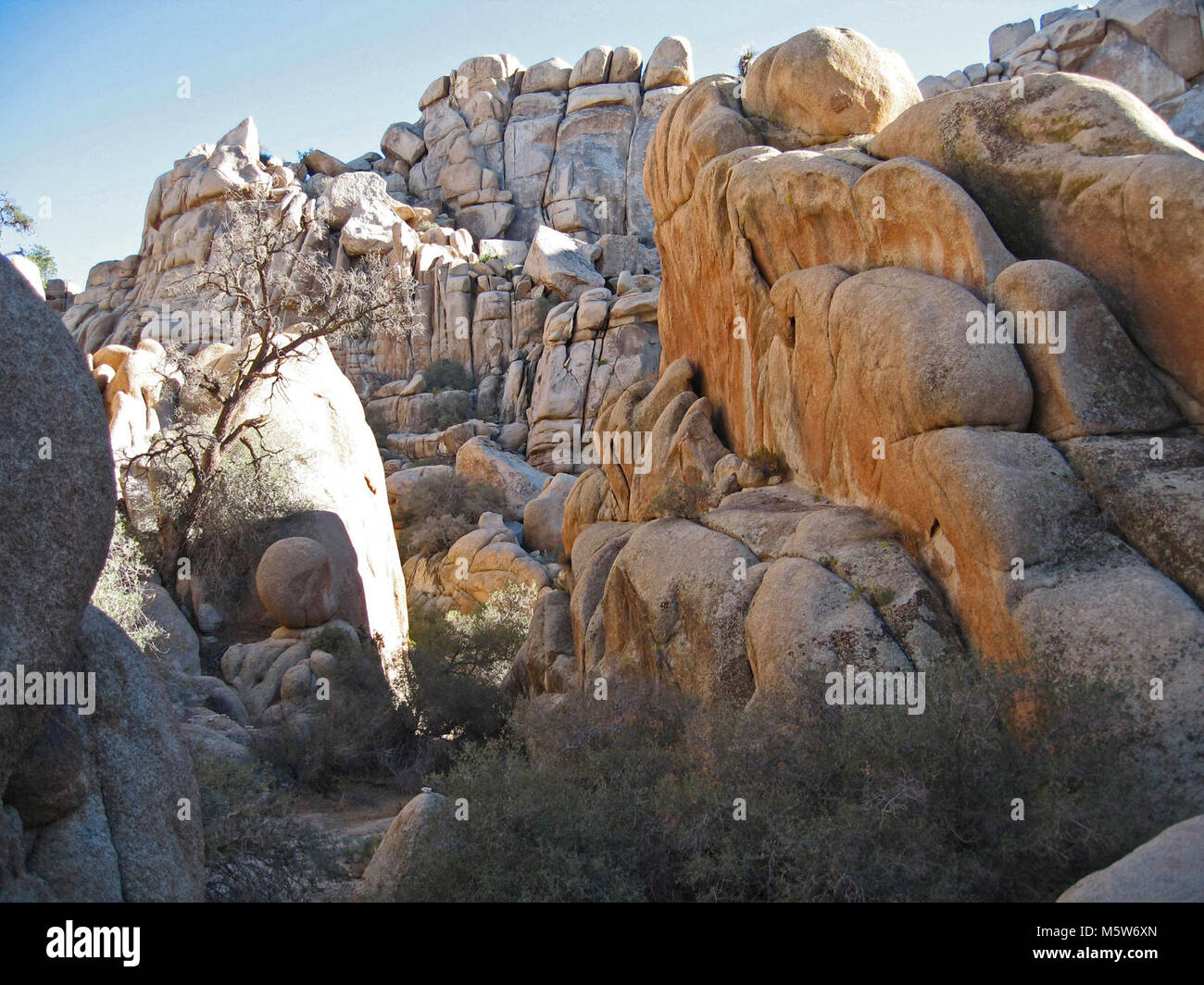 Willow Hole Stock Photo - Alamy