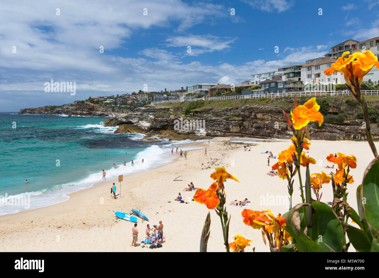 Tamarama Beach, Sydney, New South Wales, Australia Stock Photo - Alamy