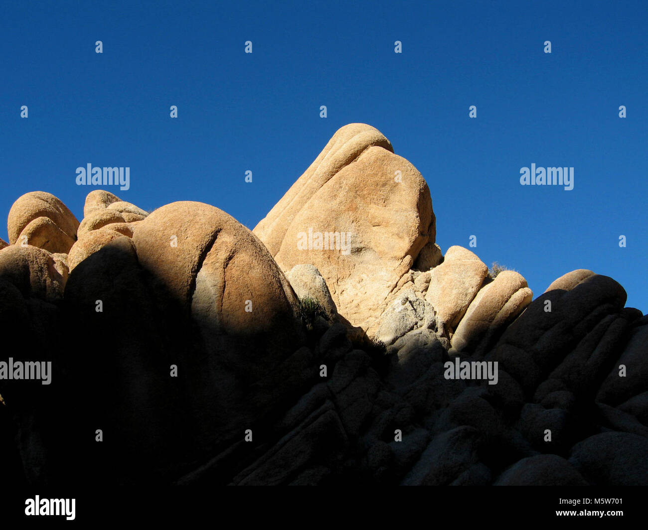 Willow Hole Stock Photo - Alamy