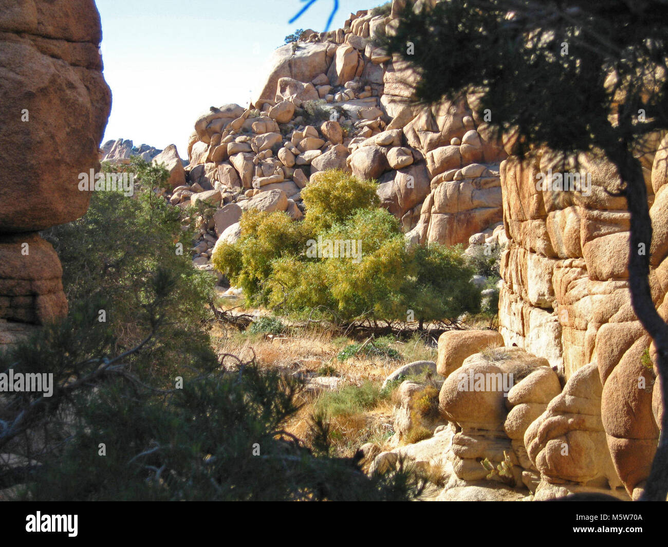 Willow Hole Stock Photo - Alamy