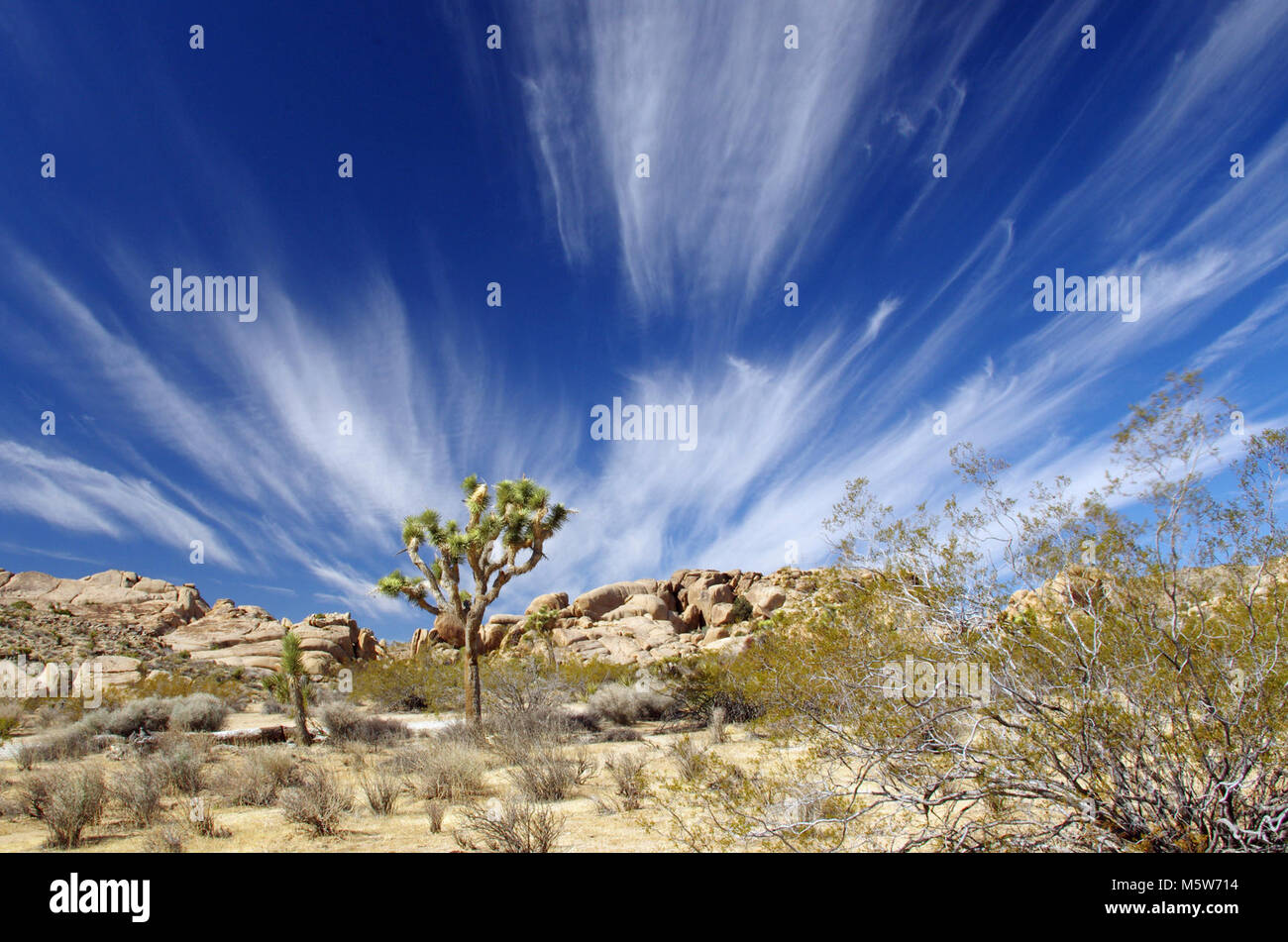 Wind and Clouds Stock Photo - Alamy