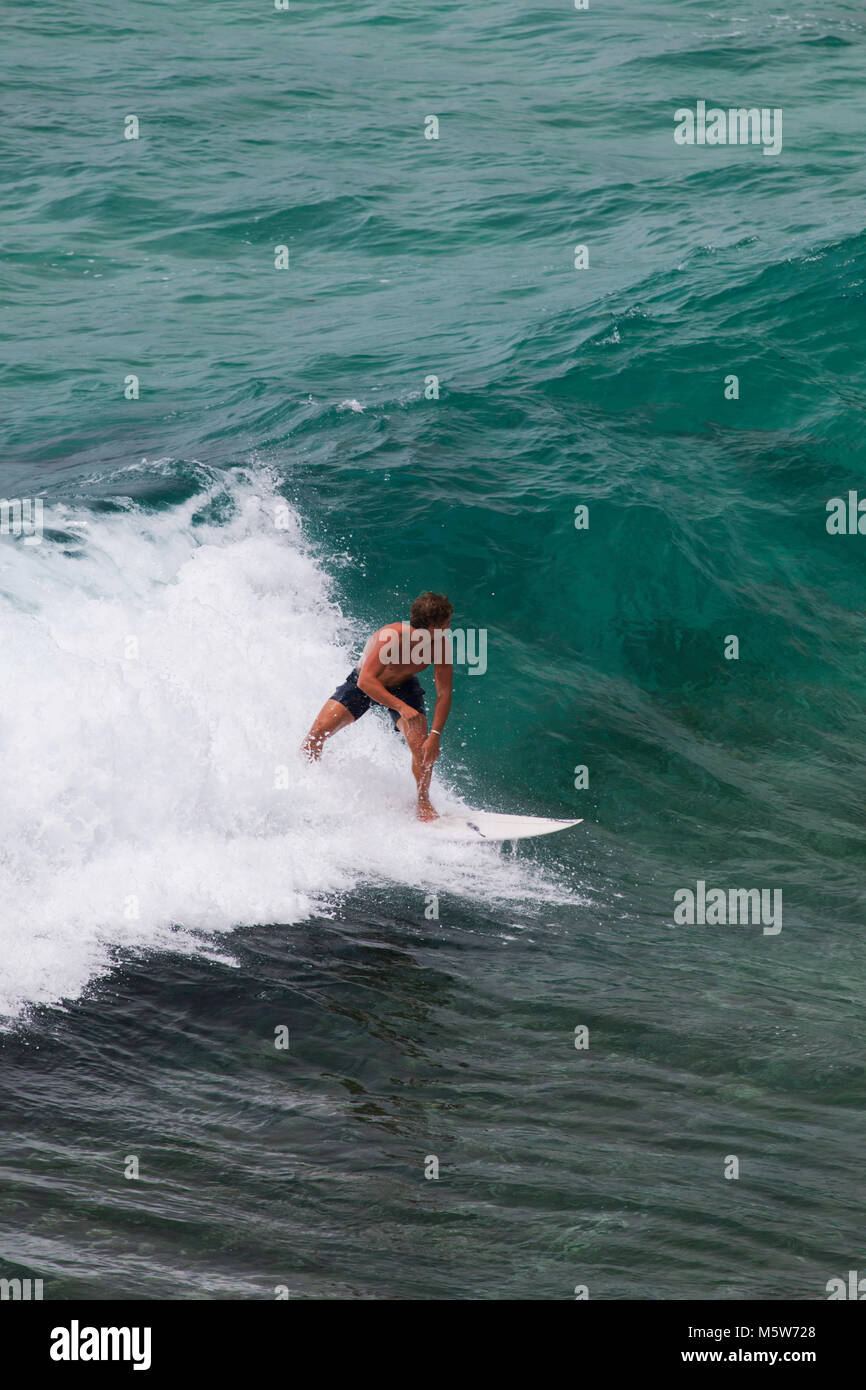 Australian man surfing hi-res stock photography and images - Alamy