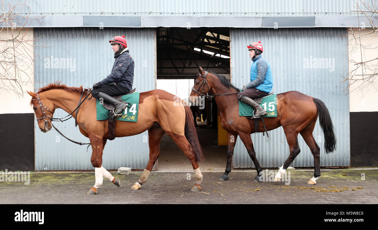 Melon (left) and Wicklow Brave (right) during the visit to Willie ...