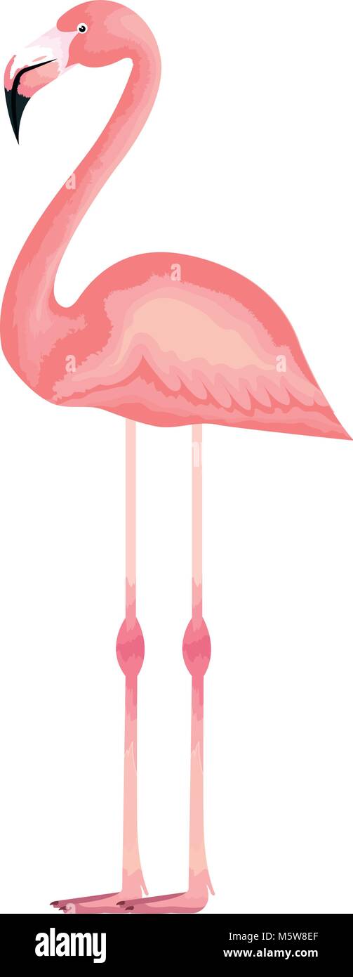 Flemish design vector vectors hi-res stock photography and images - Alamy