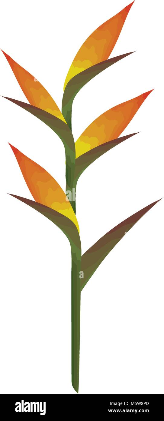 tropical and exotic heliconia vector illustration design Stock Vector ...