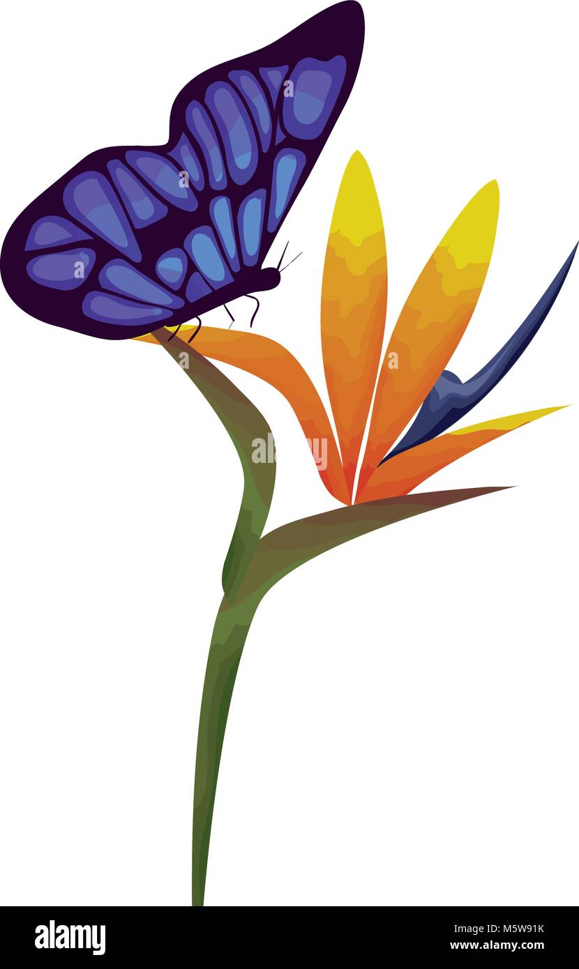 Butterfly heliconia Stock Vector Images - Alamy