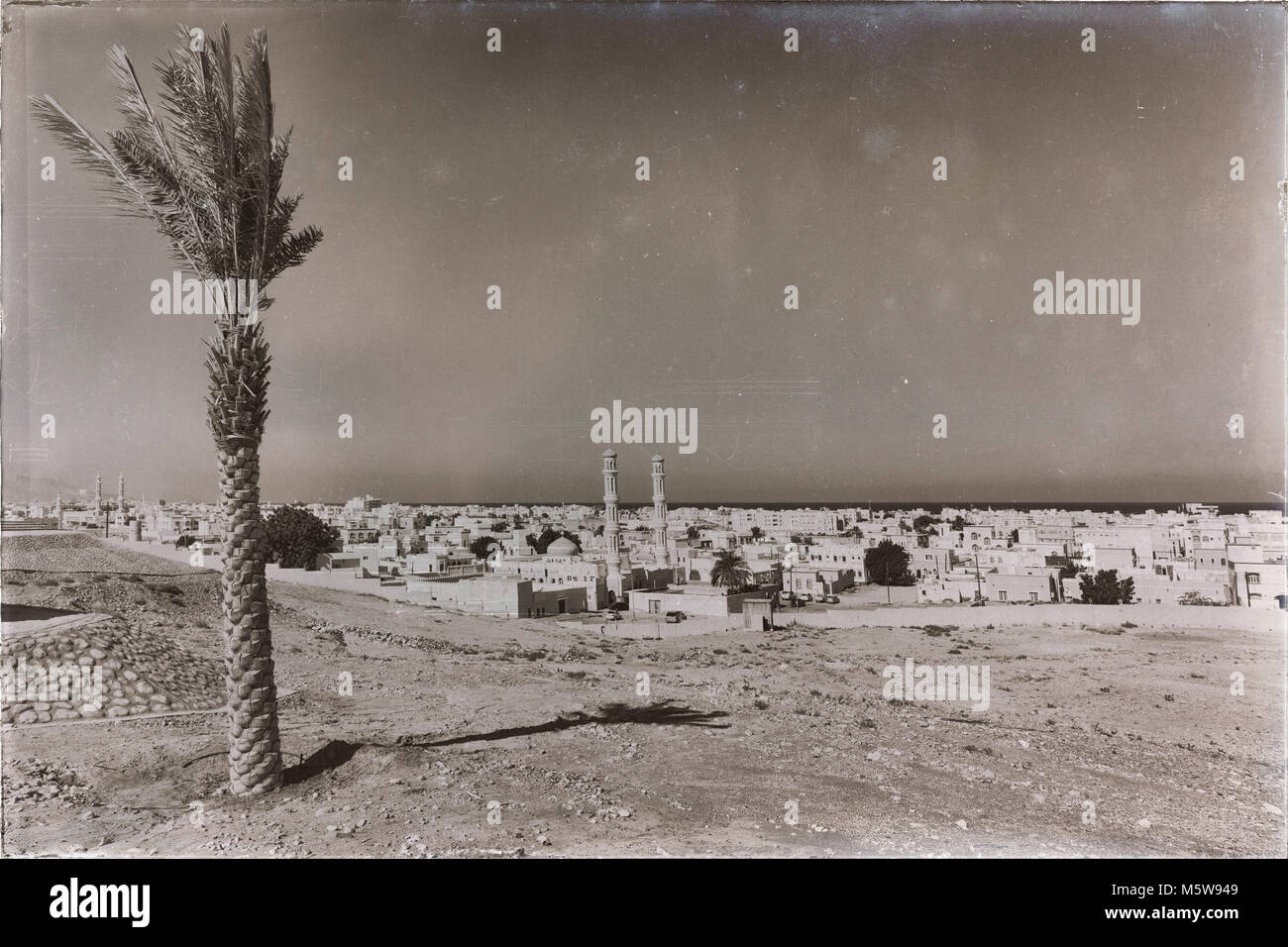 in muscat oman the cityscape and the palm near ocean view Stock Photo ...