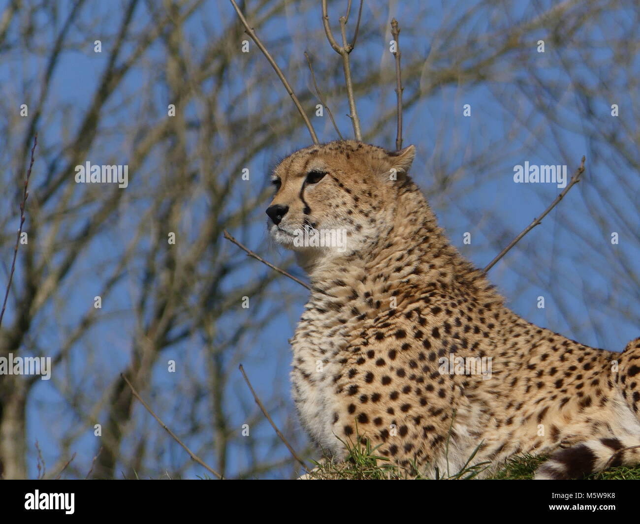 Looking out at the horizon hi-res stock photography and images - Alamy