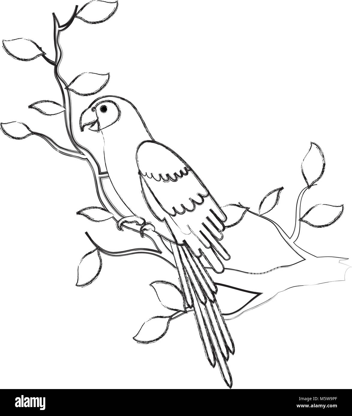 exotic and tropical parrot in branch tree vector illustration design ...