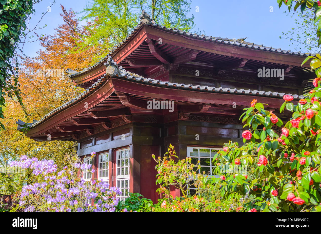 Japanese Style House in Spring Stock Photo - Alamy