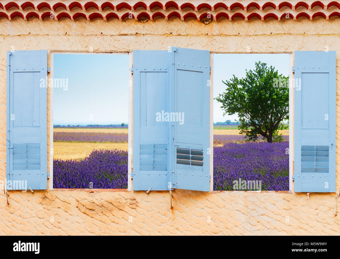 Lavender field window Stock Photo - Alamy