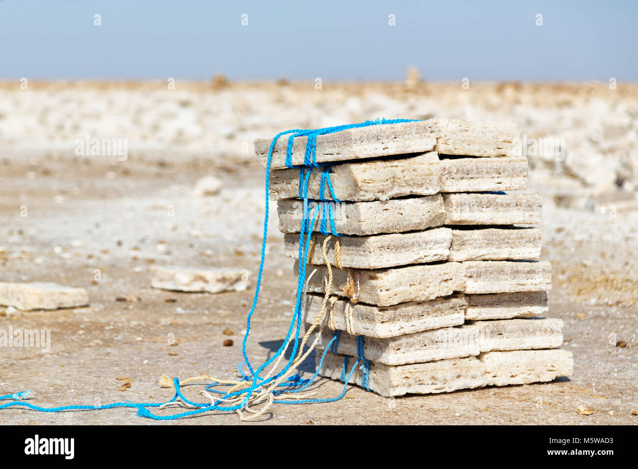 in danakil ethiopia africa the block of salt in the antique lake Stock ...