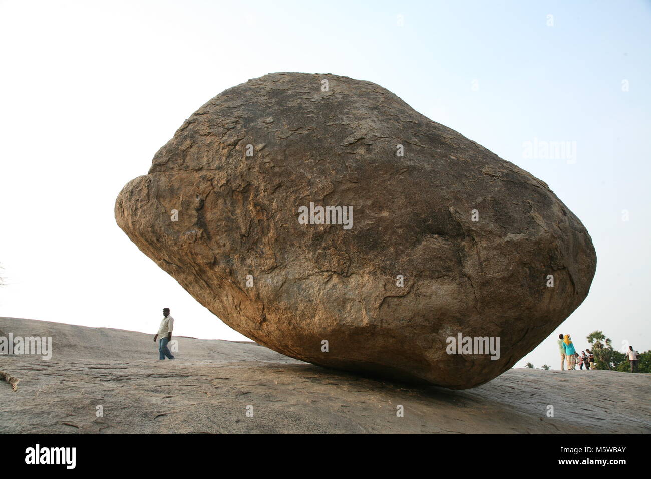 Butterball hi-res stock photography and images - Alamy