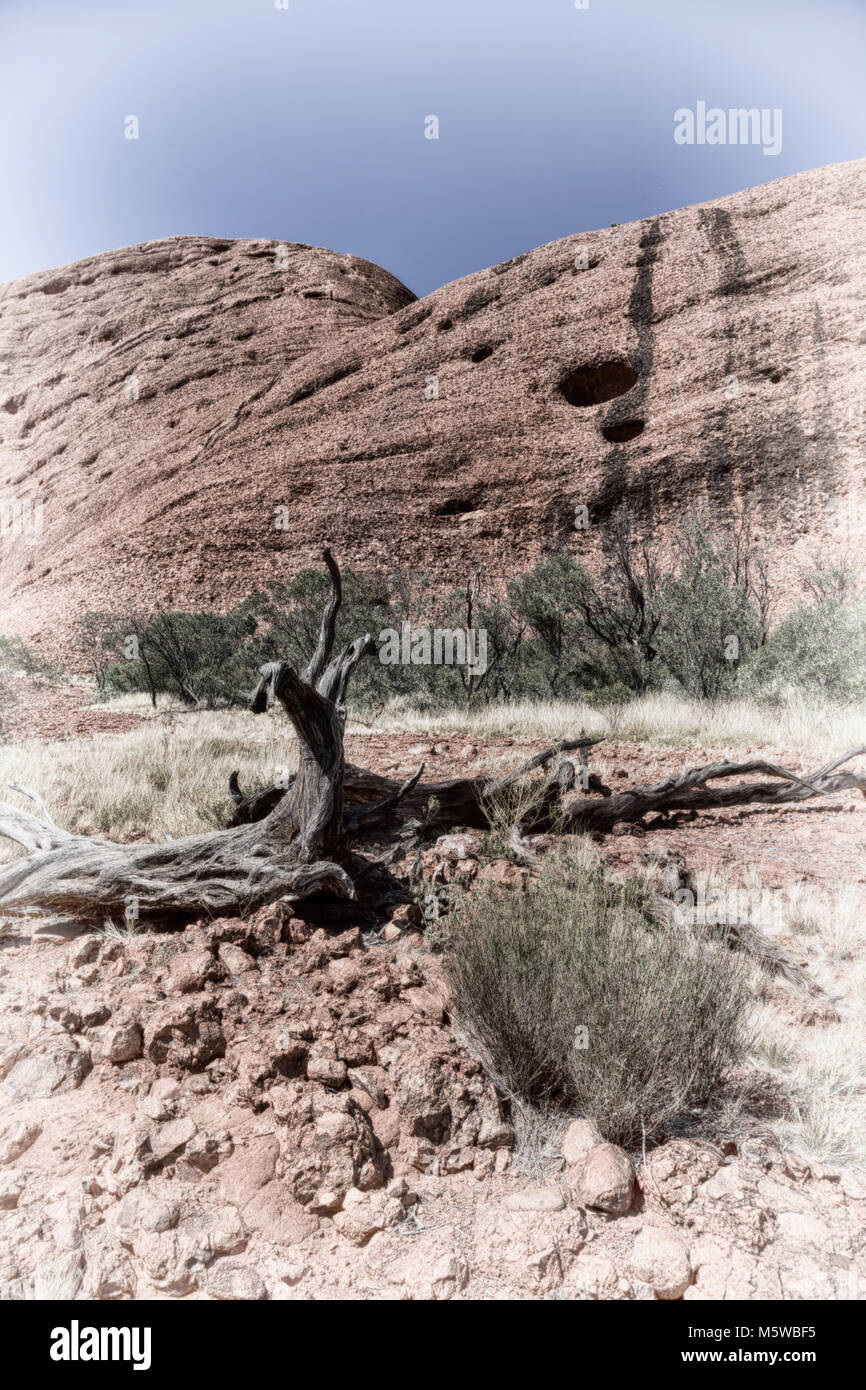 in australia the concept of wilderness environment in the landscape ...