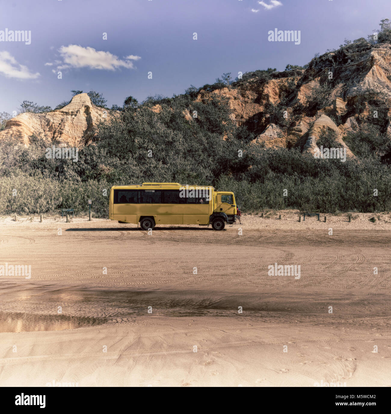 in australia fraser island and the sand track of the bus near the ocean ...