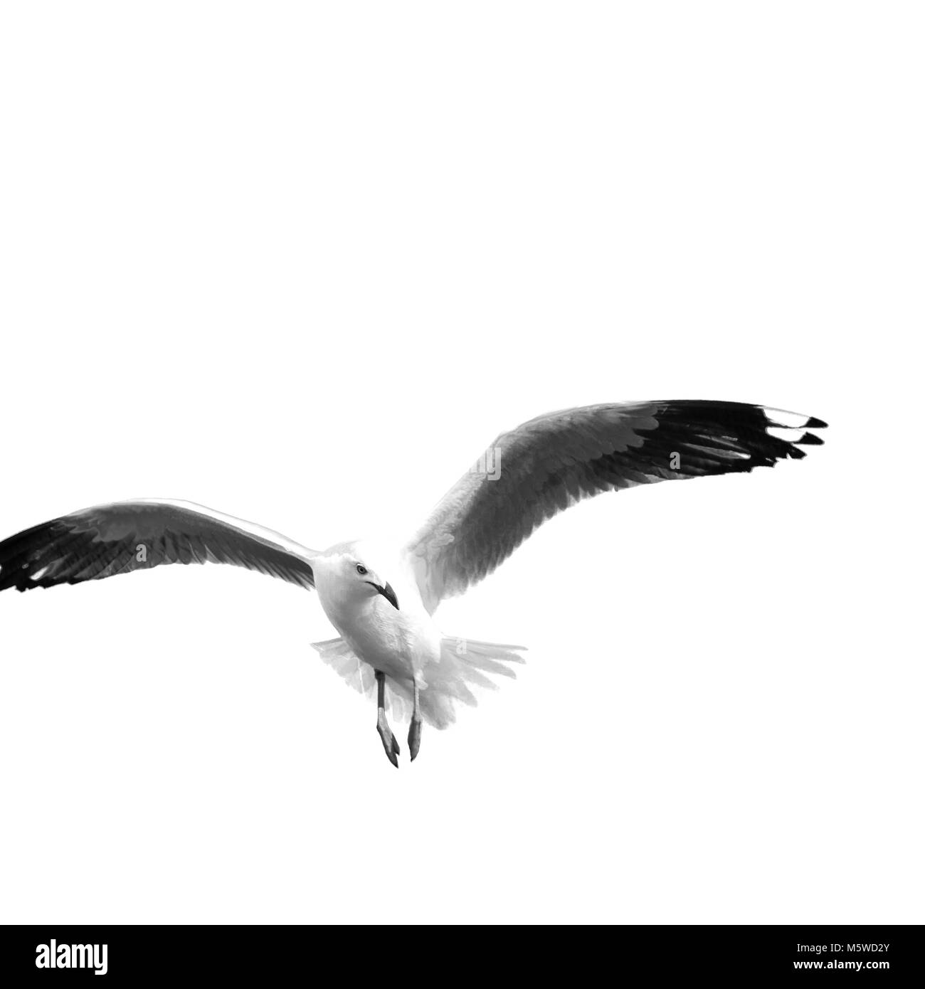 Australia in close up Cut Out Stock Images & Pictures - Alamy