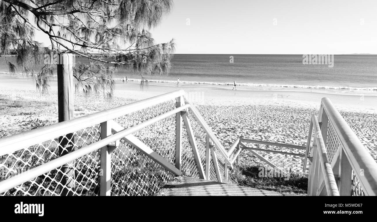 in australia brisbane the beach and the tourism near ocean Stock Photo ...