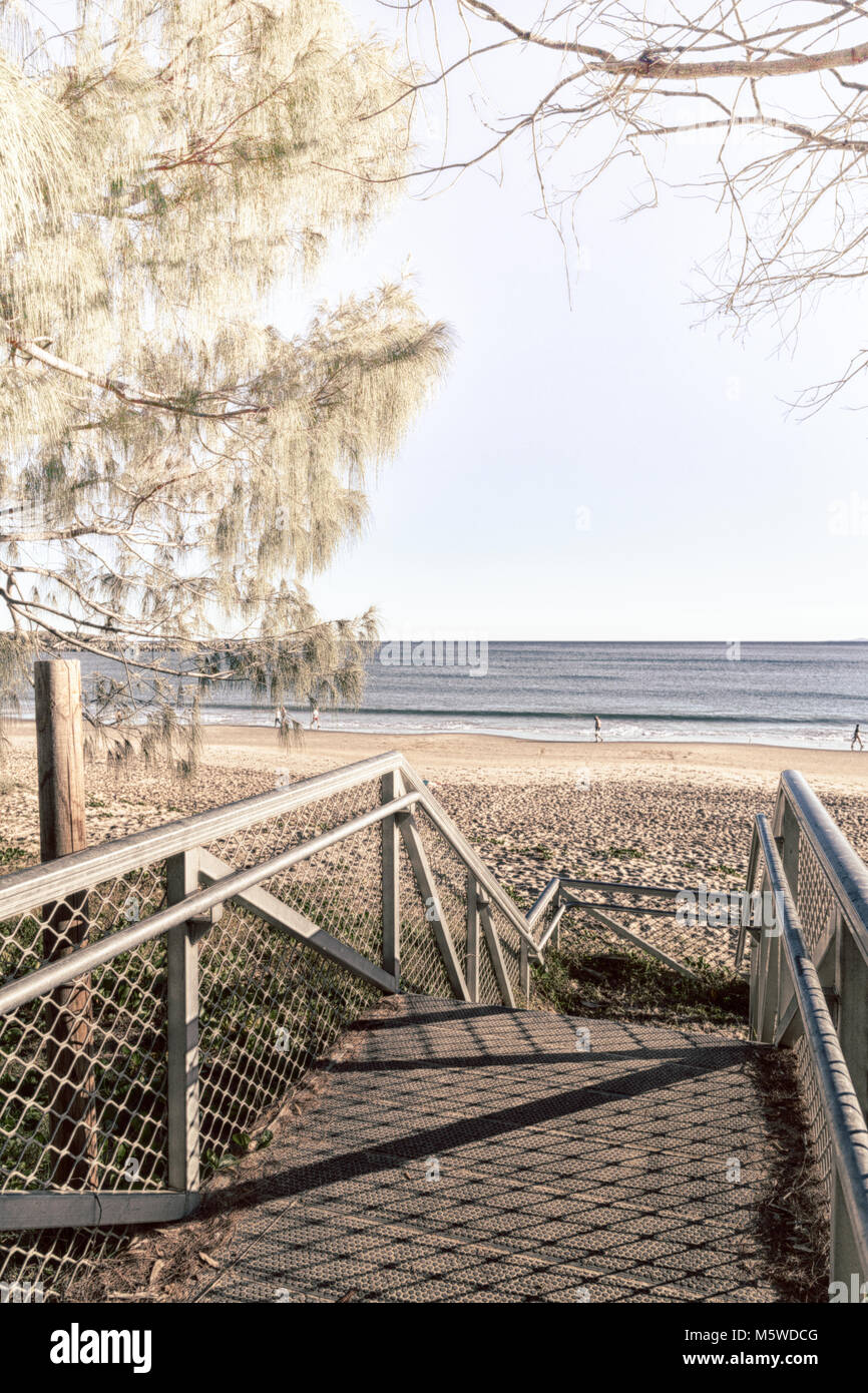 in australia brisbane the beach and the tourism near ocean Stock Photo ...