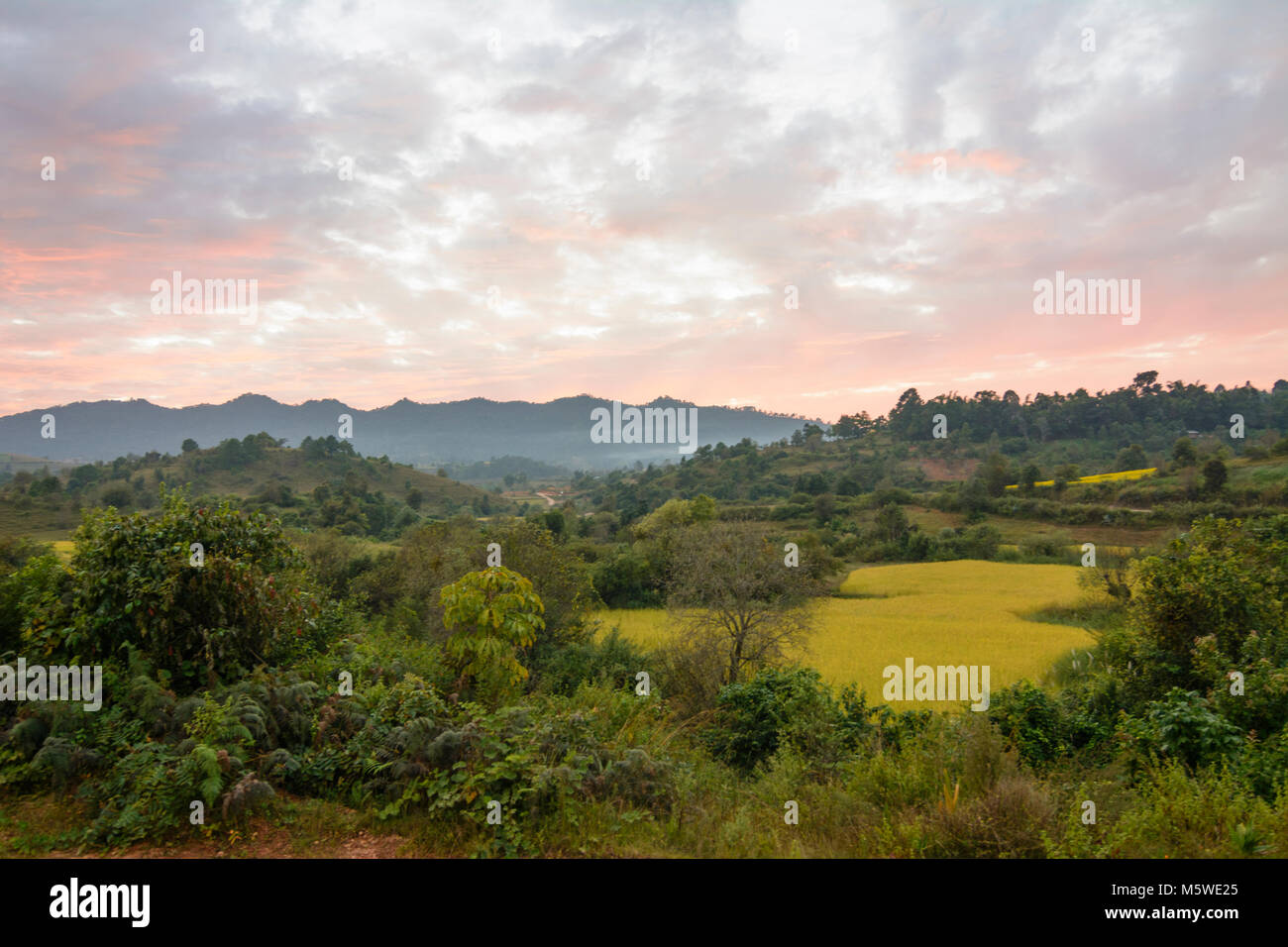 Myanmar wirtschaft hi-res stock photography and images - Alamy